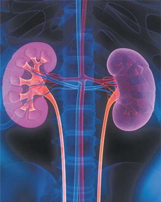 Kidney Cancer | Central Florida Health and Wellness Magazine
